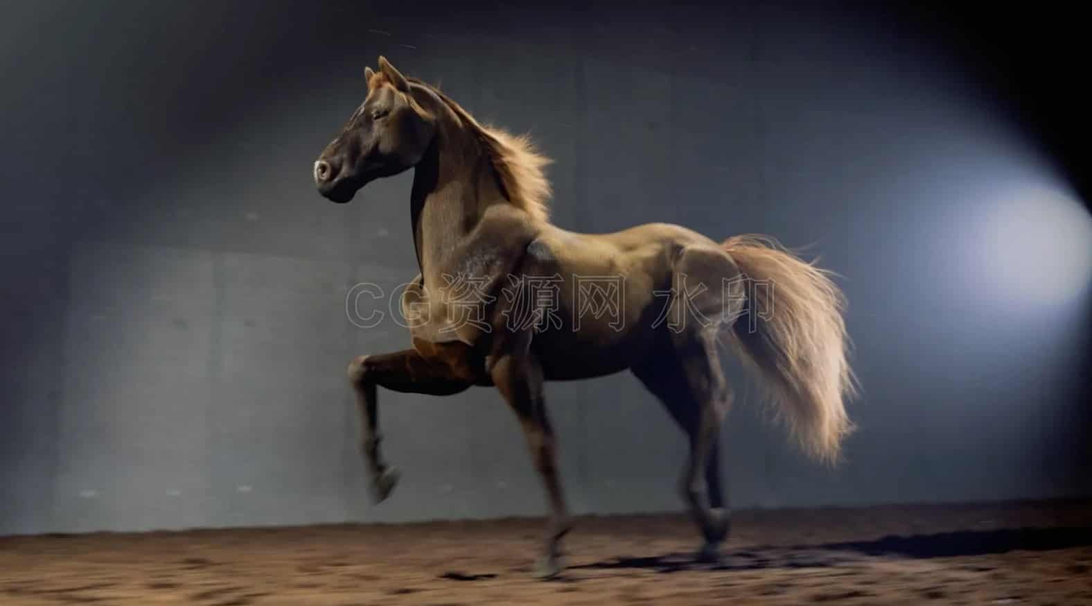 【拟完结】Houdini马匹生物绑定教程rebelway Creature Rigging In Houdini | Master Apex ...